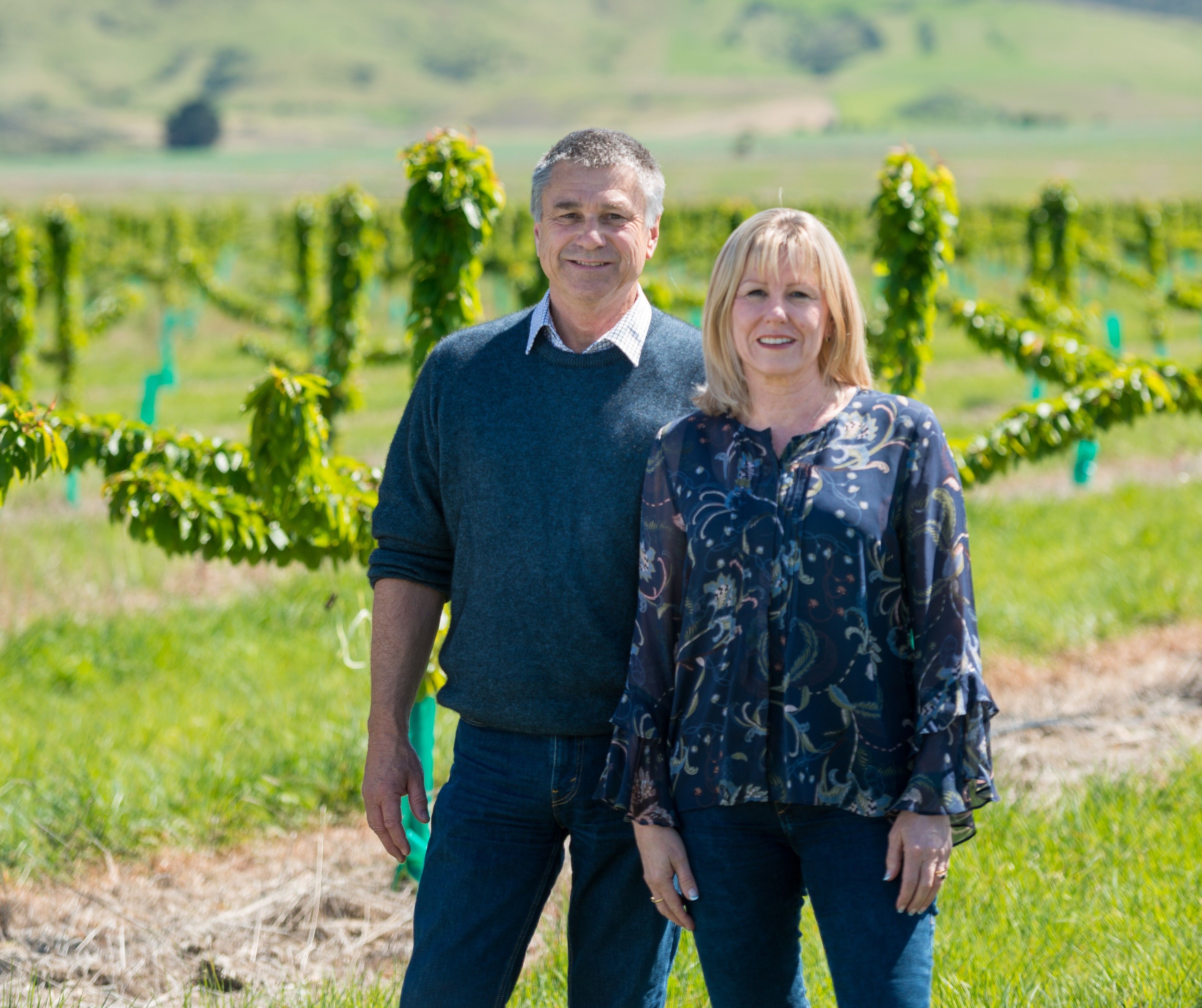 Cherry venture announces expansion plans | Export and Trade Handbook